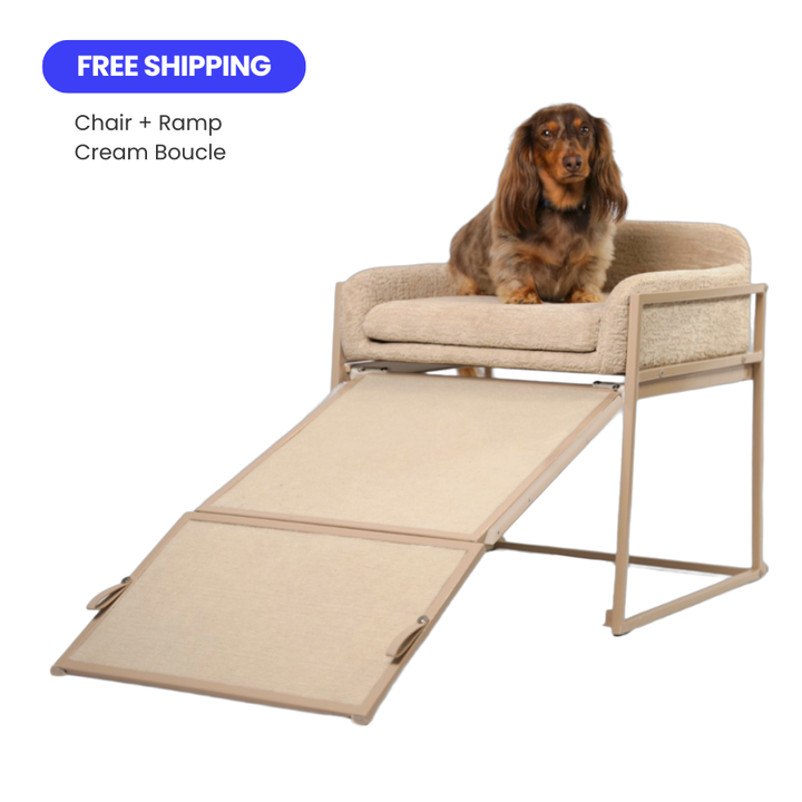 Office Chair For Your Dog with easy access ramp – SeatMate