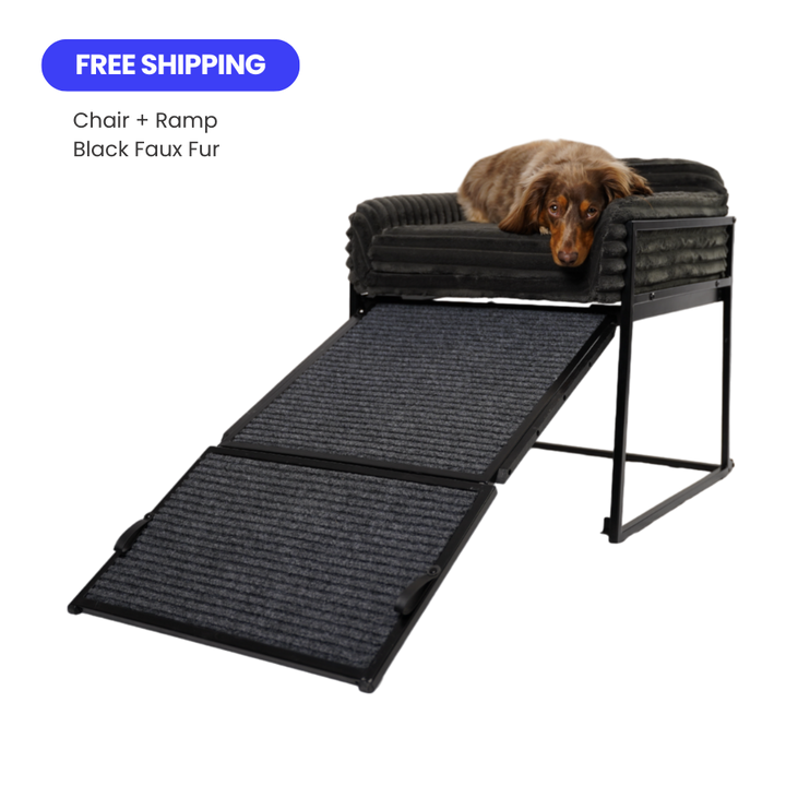 Office Chair For Your Dog With Easy Access Ramp SeatMate office-chair-for-your-dog-with-easy-access-ramp-seatmate