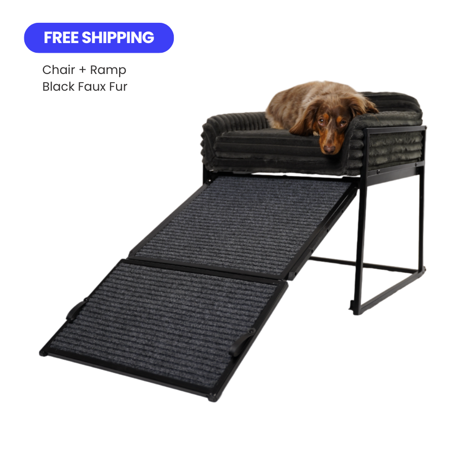 Office Chair For Your Dog With Easy Access Ramp SeatMate Office Chair For Your Dog With Easy Access Ramp SeatMate
