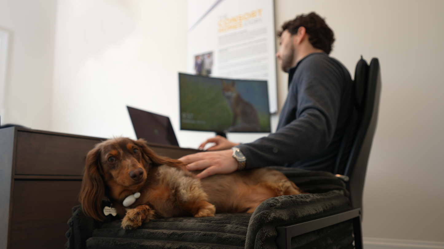 Pet Office Chair: Black Boucle – SeatMate